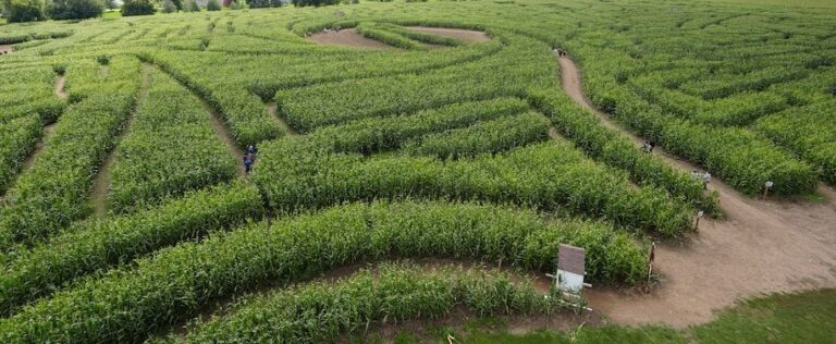 アメリカでピクニック：Richardson Adventure Farm | Change Life Story Blog